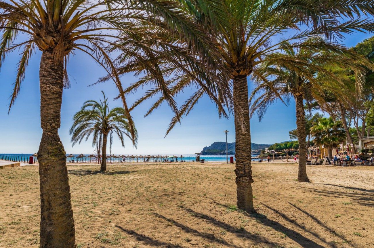 Paguera - heerlijke zonbestemming op Mallorca